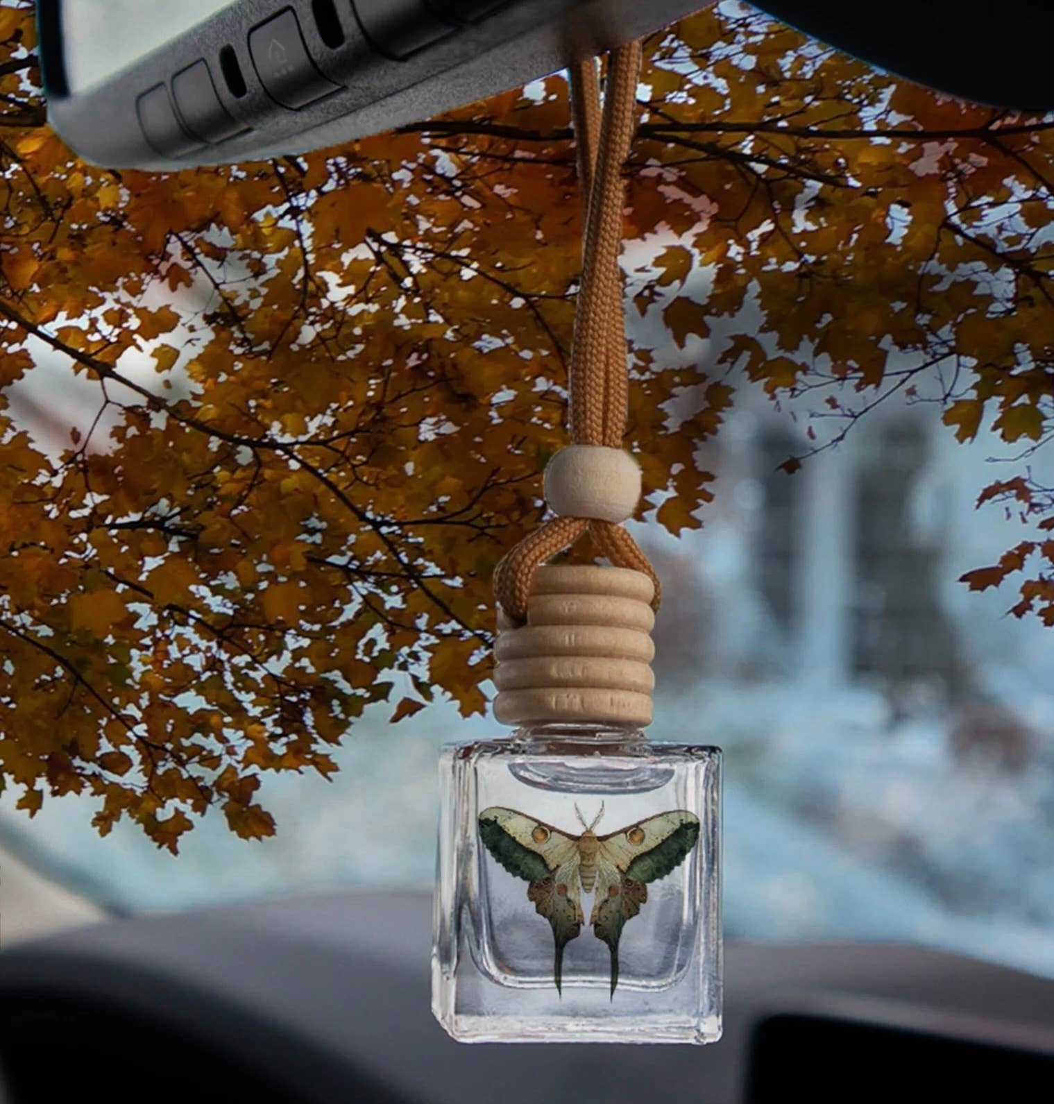Moth | Car Diffuser: Salted Caramel + Pistachio | Spilled Milk